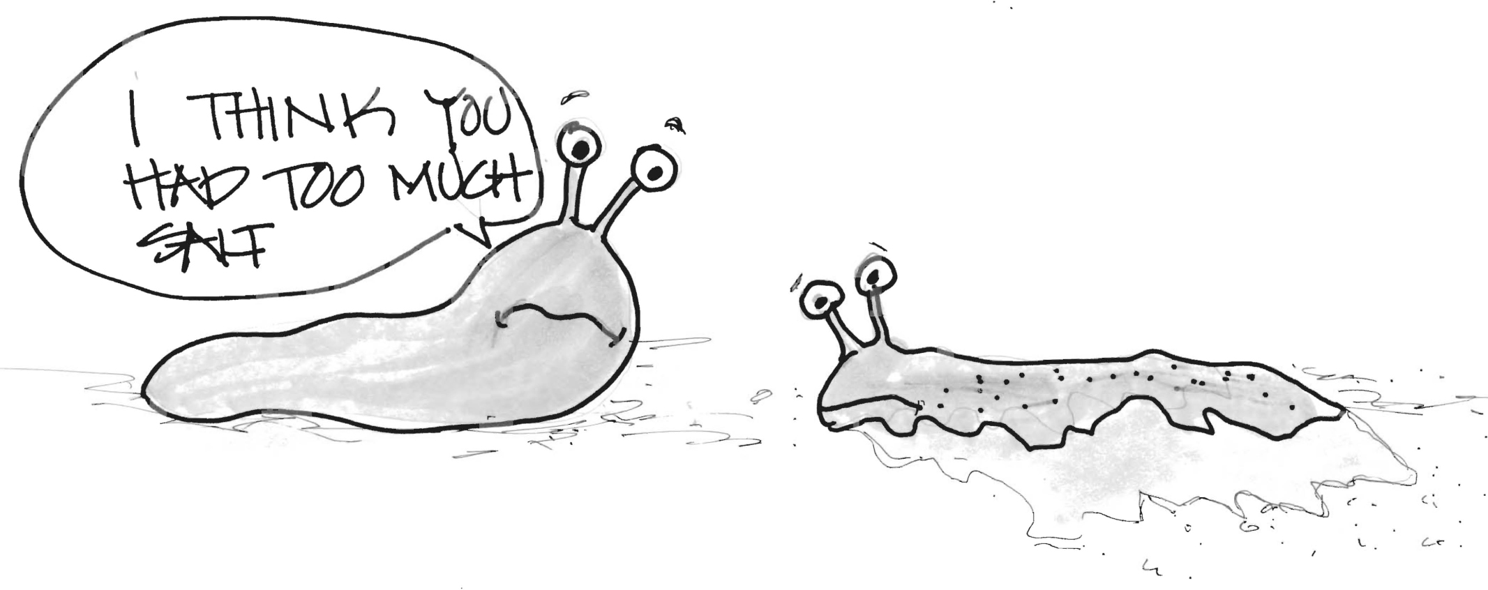 Slug too much salt – diana bennett | artist | interior designer | cook